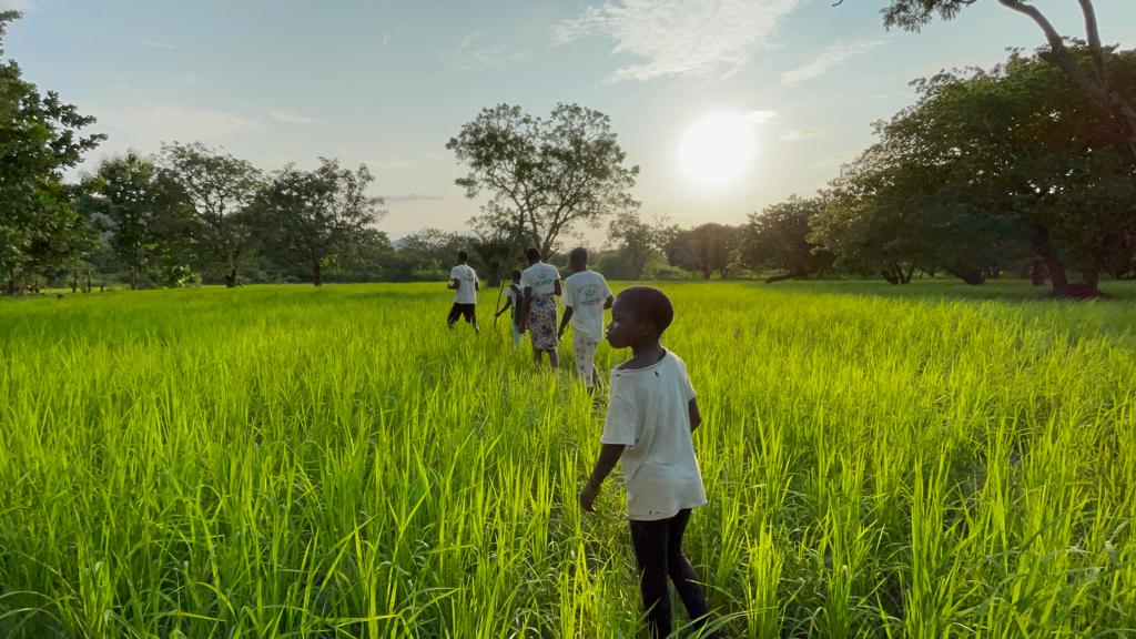 Behind the line - Le Carreau du Temple